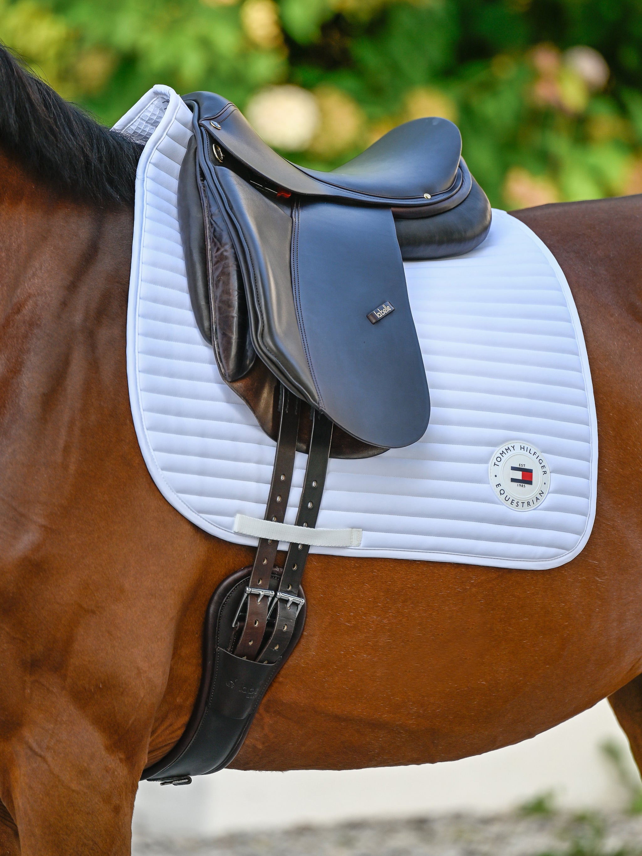 Upstate Dressage Saddle Pad OPTIC WHITE
